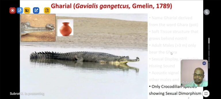 ETRD Conference 2024 – International Journal of Innovative Research ...